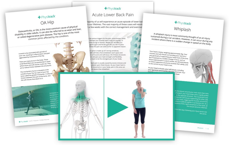 Raintree & Physitrack