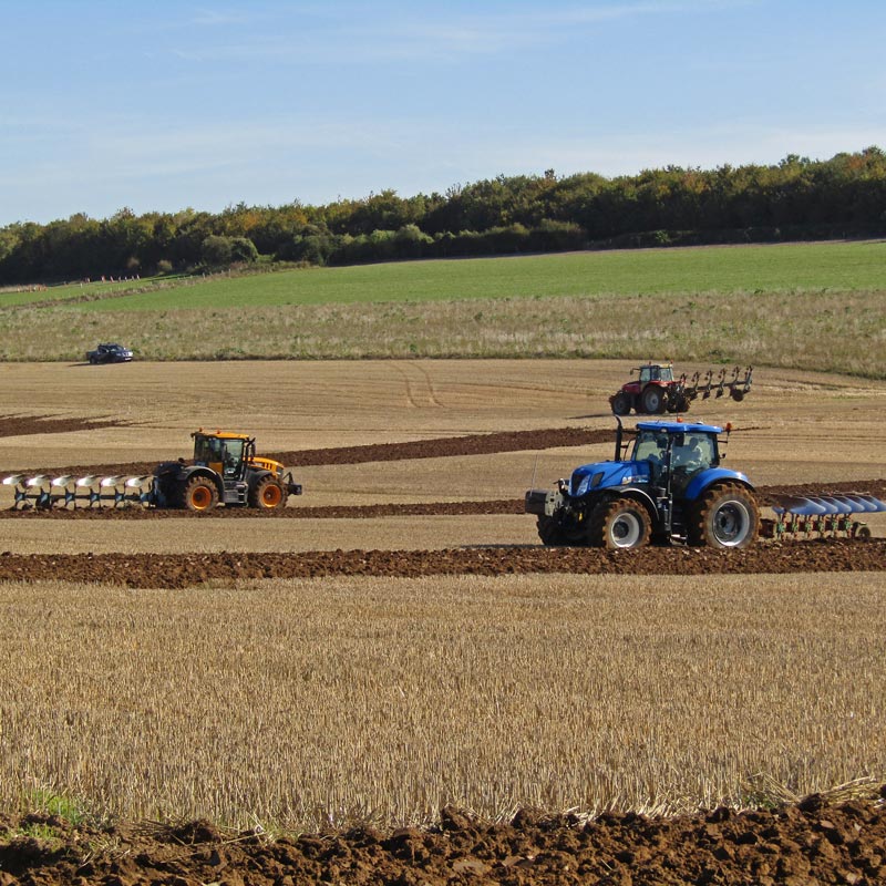 Results | The East Kent Ploughing Match
