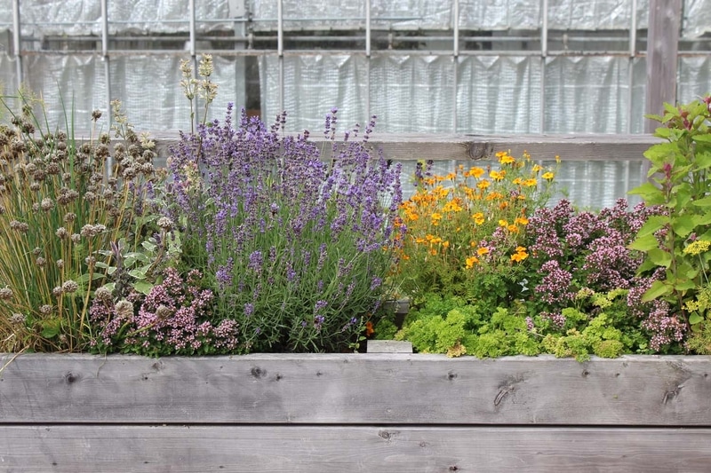 Terapihaven Nacadia® – Rumsans