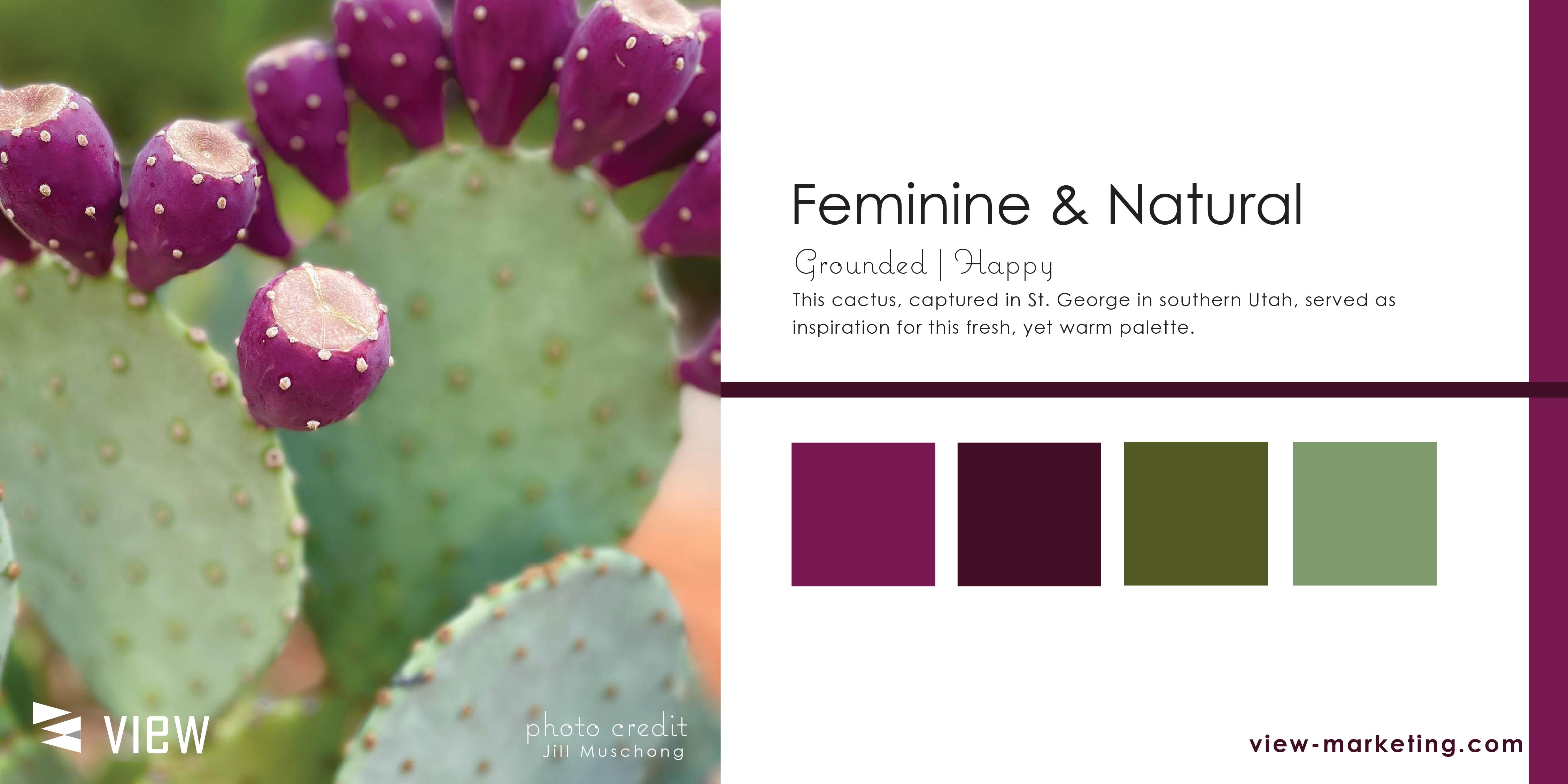 Graphic design color and font inspiration