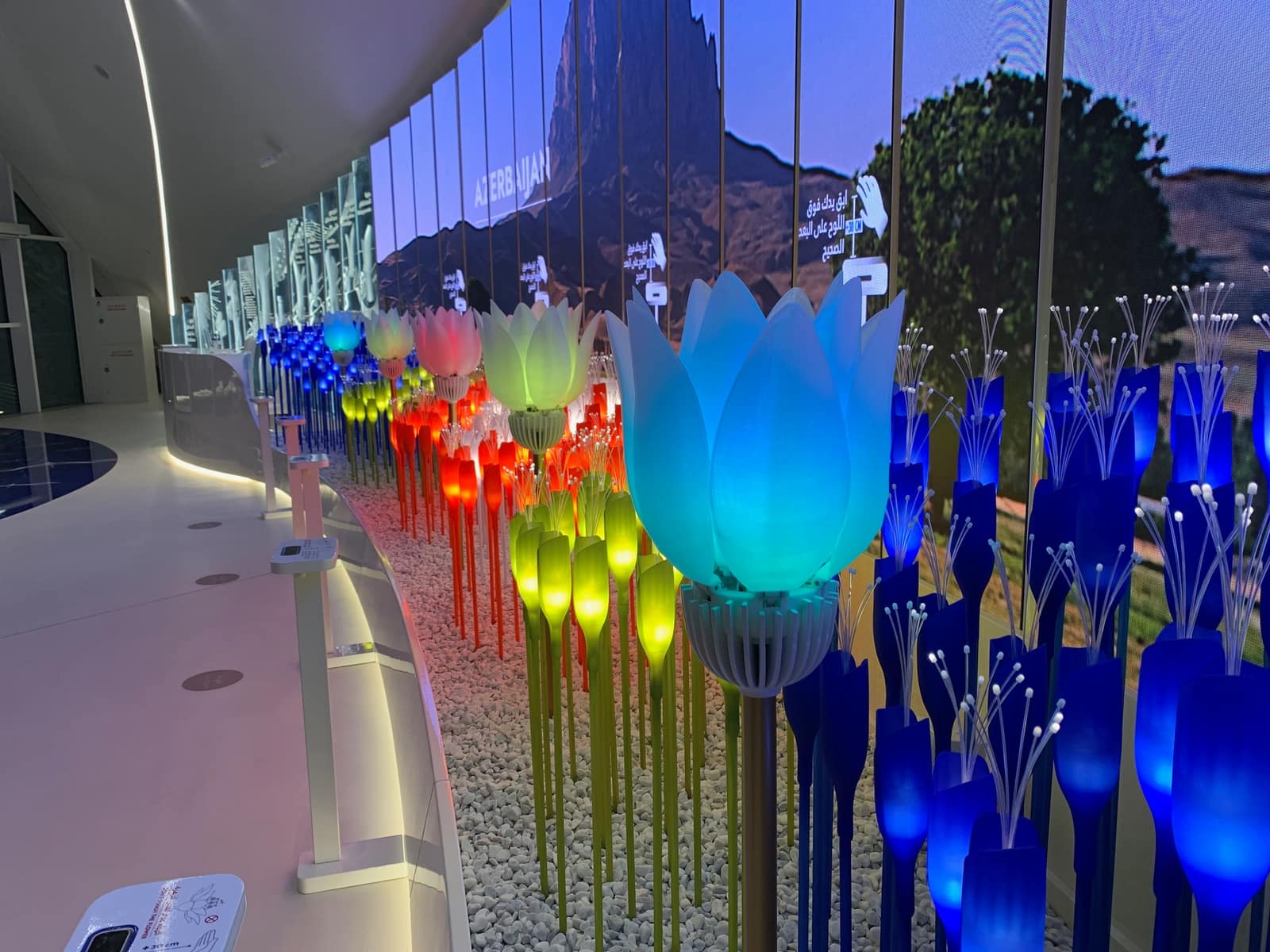 Leva | Infinite Bloom