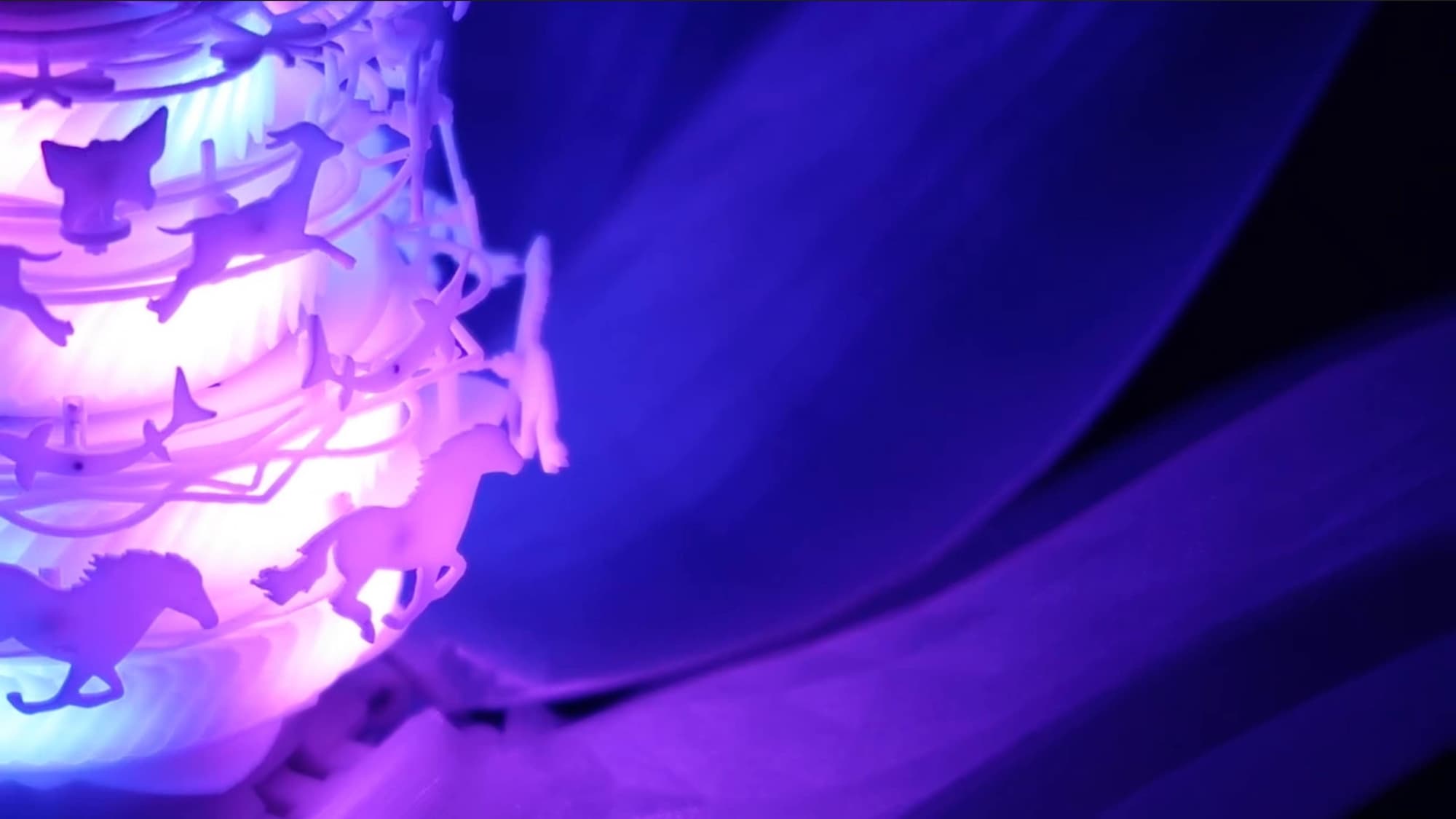 Leva | Infinite Bloom