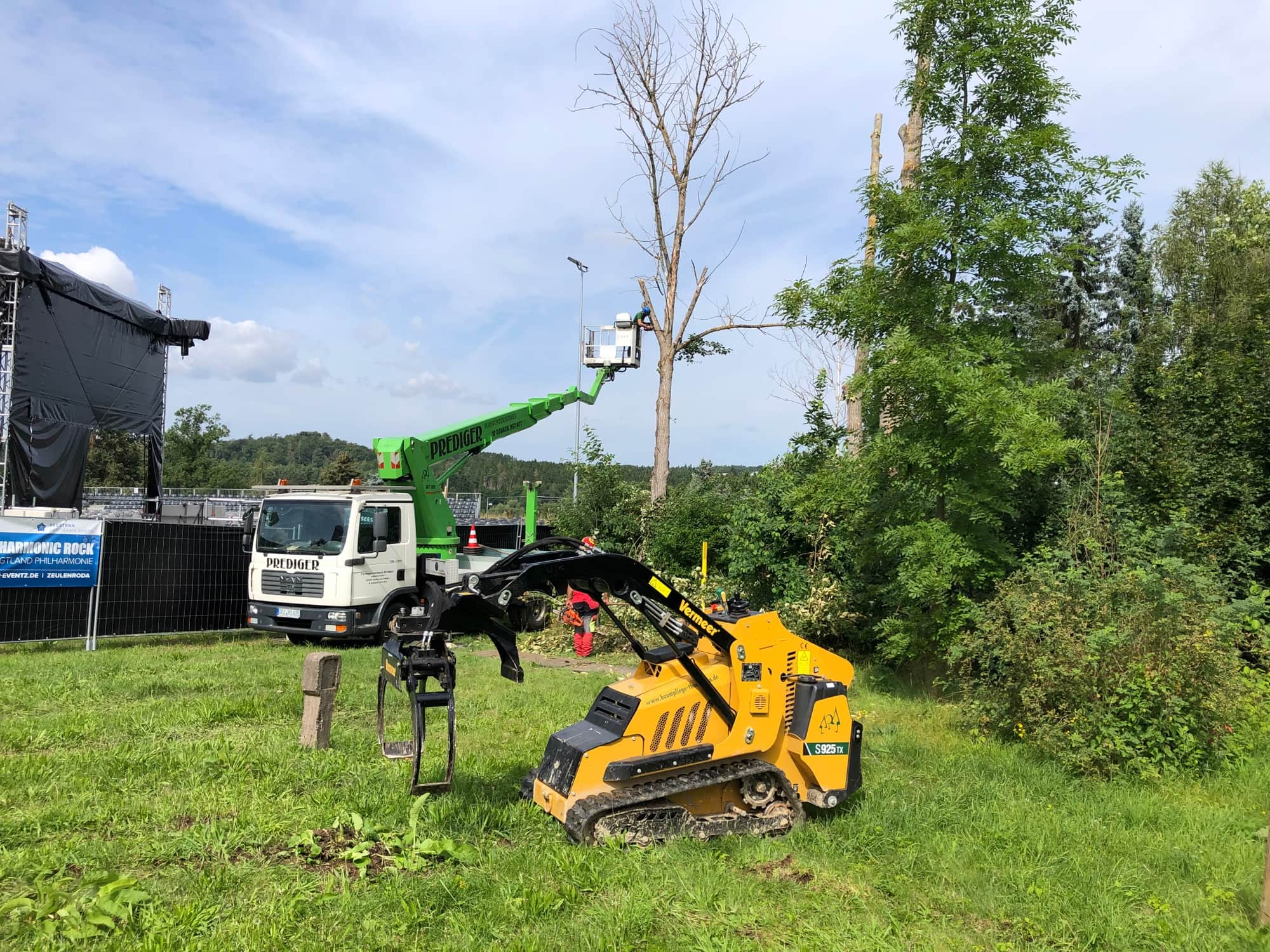 Baumpflege, Baumkontrollen, Gutachten, uvm. – Forstunternehmen Sebastian Prediger