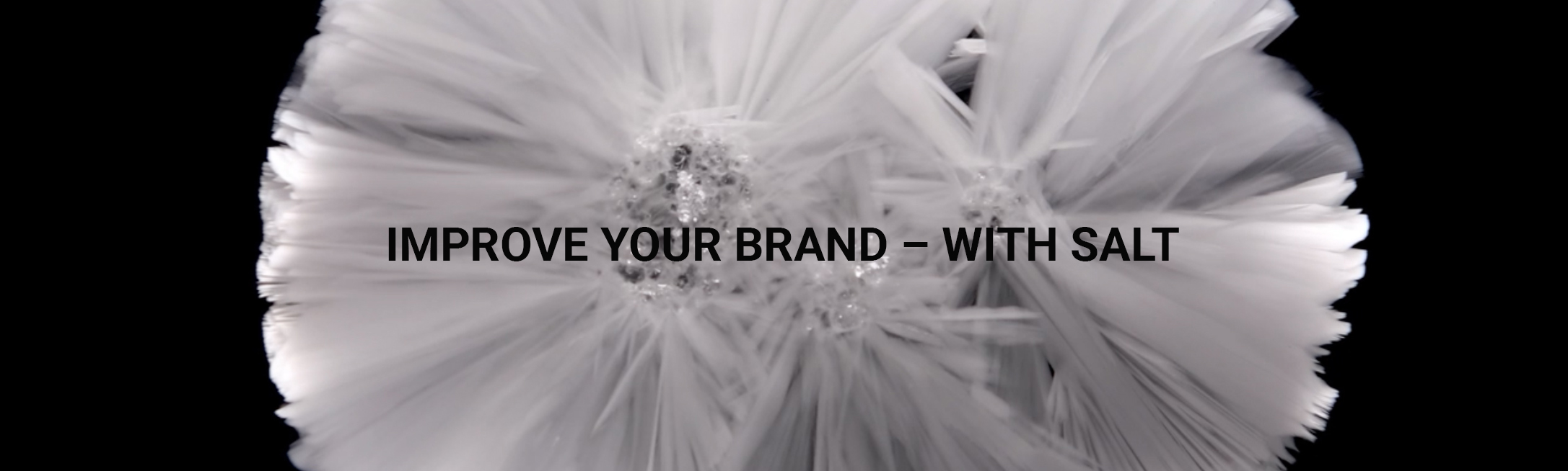 Web design company London | Salt Studio | outstanding web design, print ...