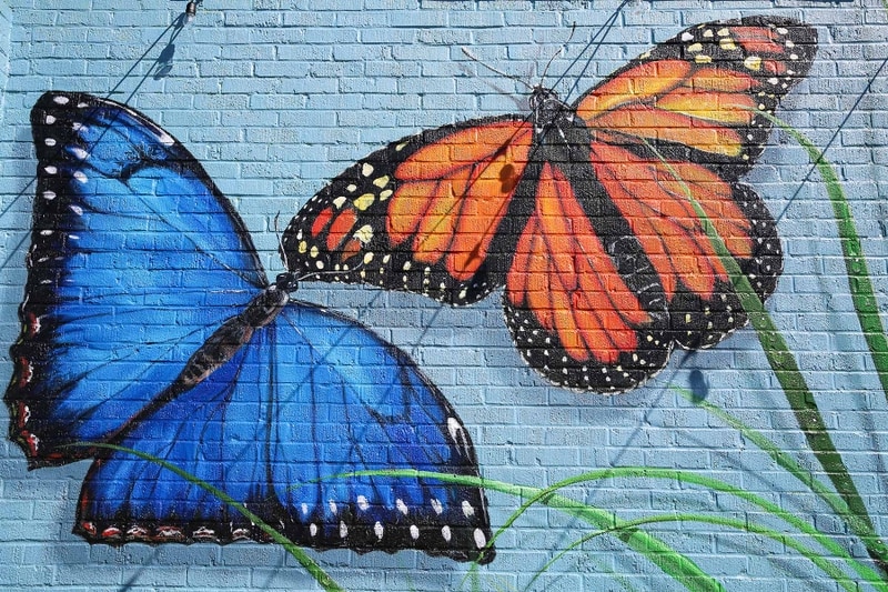 Visit Lake City, SC - Butterfly Mural on Sauls and Church Street Unveiled