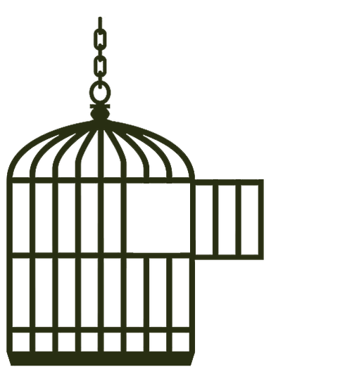 Dr. Tiffany Griffiths