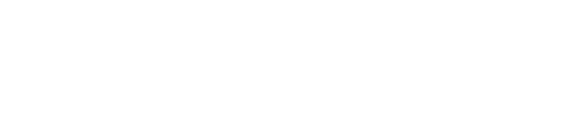 VICIS - Protect the Athlete, Elevate the Game