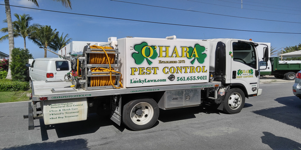 O'Hara Pest Control