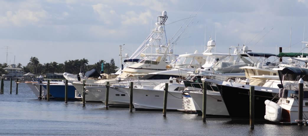 O’Hara Pest Control Bed Bugs Exterminator For Yachts And Marinas West ...