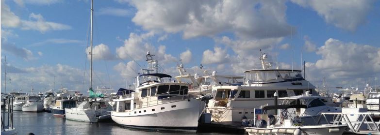 O’Hara Pest Control for Boats, Yachts and Marinas