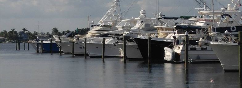 O’Hara Pest Control for Boats, Yachts and Marinas
