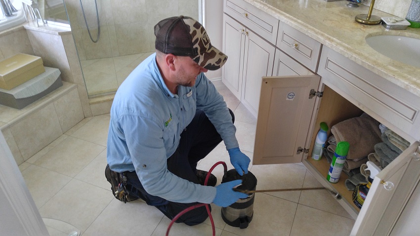 O'Hara Pest Control