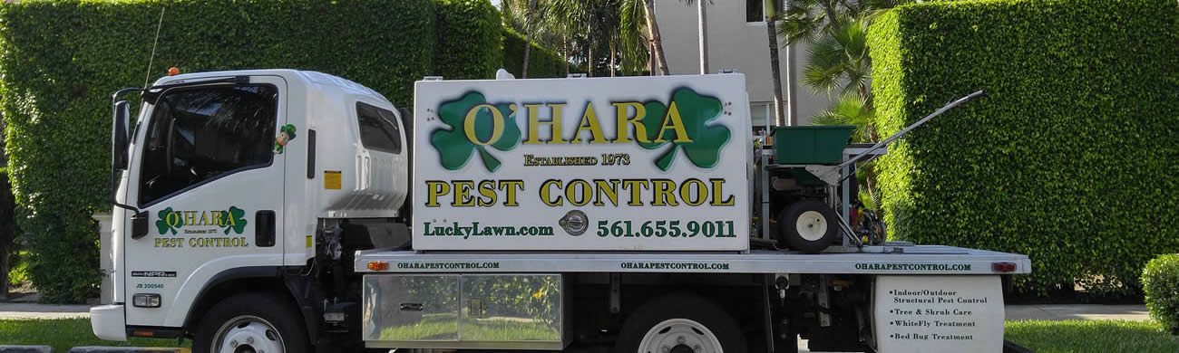 Rodents Control West Palm Beach