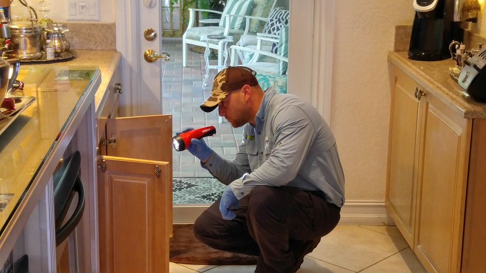 O'Hara Pest Control Complete Treatments of Pest