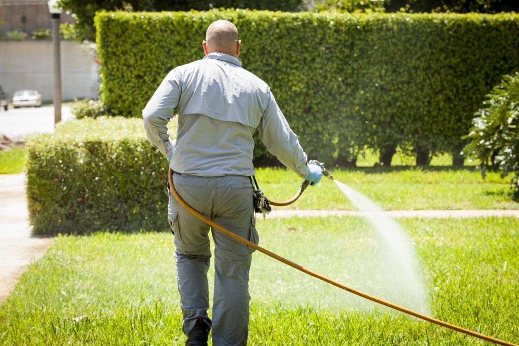 Knowing When to Fertilize Your Lawn