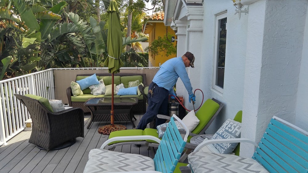 Pest Control Boca Raton | What Every Resident Should Know About Pest ...