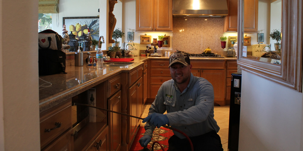 O'Hara Pest Control in Singer Island