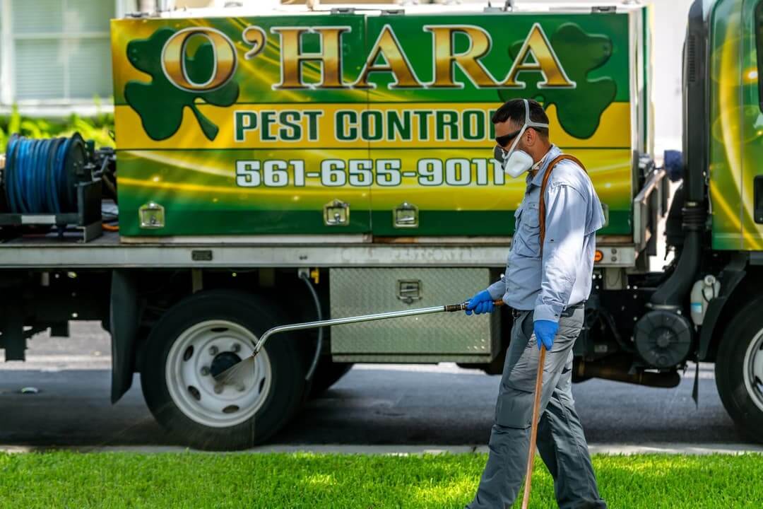 Pest Control West Palm Beach: The Ultimate GuidePest Control West Palm ...
