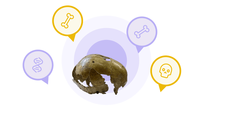 Neanderthal DNA Report | Neanderthal Ancestry Test | Genomelink