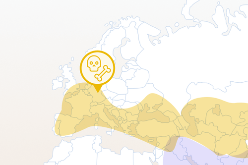 Neanderthal DNA Report | Neanderthal Ancestry Test | Genomelink