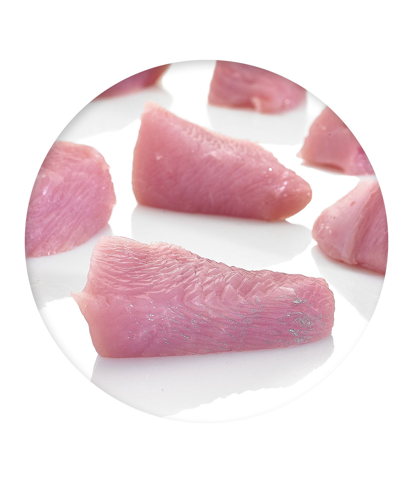 Turkey breast fillet