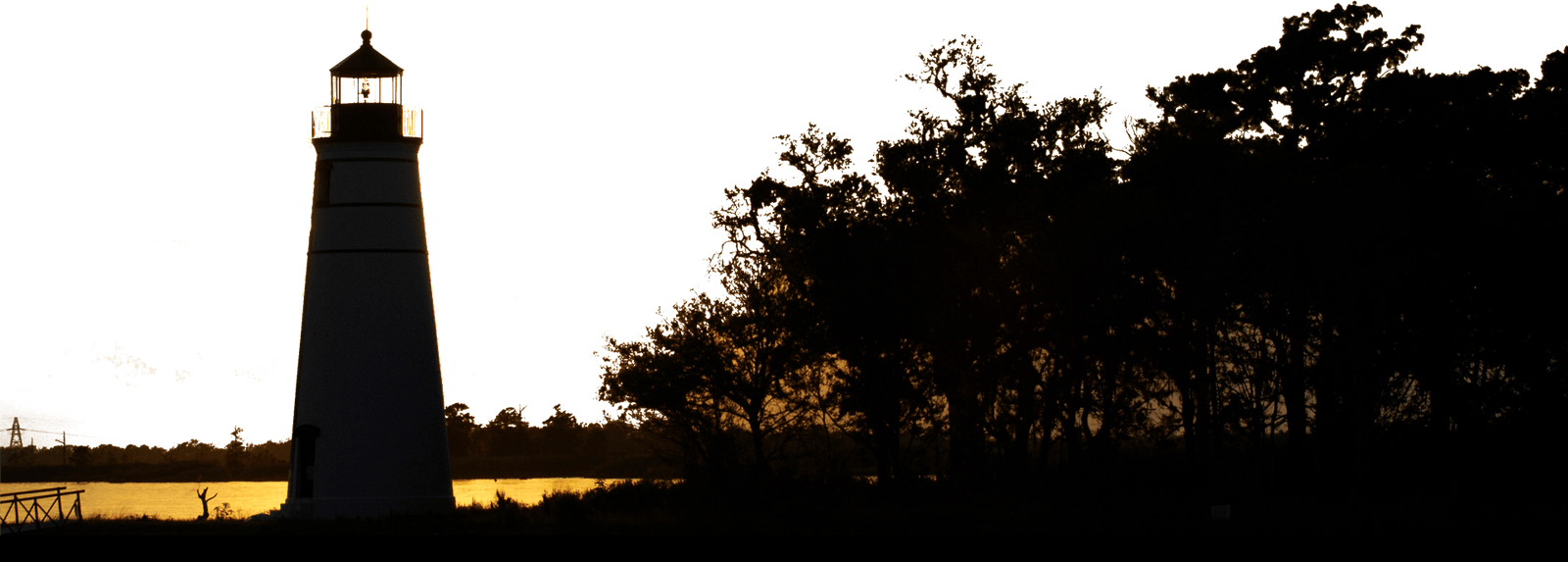 Adam Berthelot, DDS | Bridgelake Family Dentistry