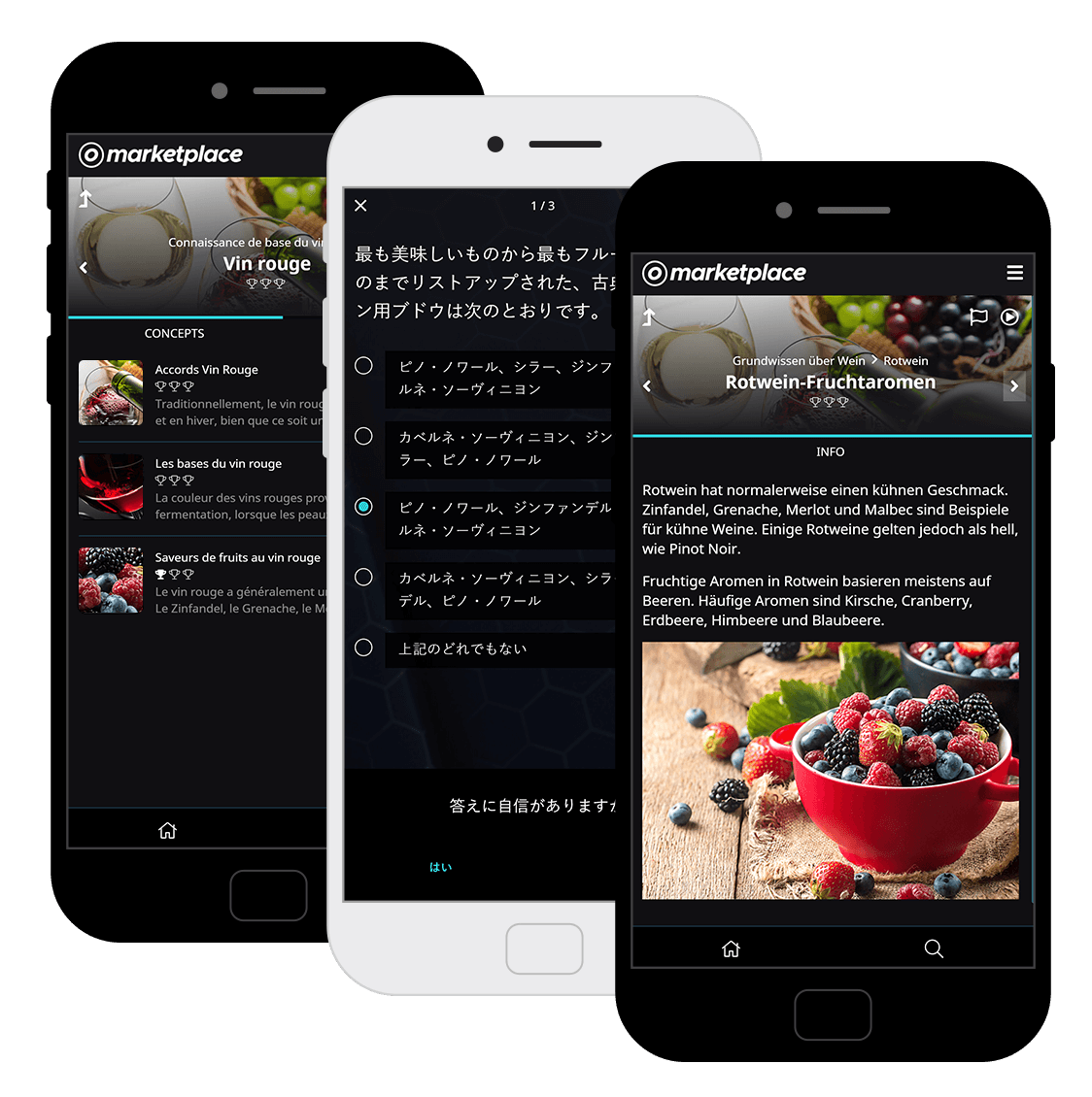 Gamified Microlearning Platform Features | OttoLearn