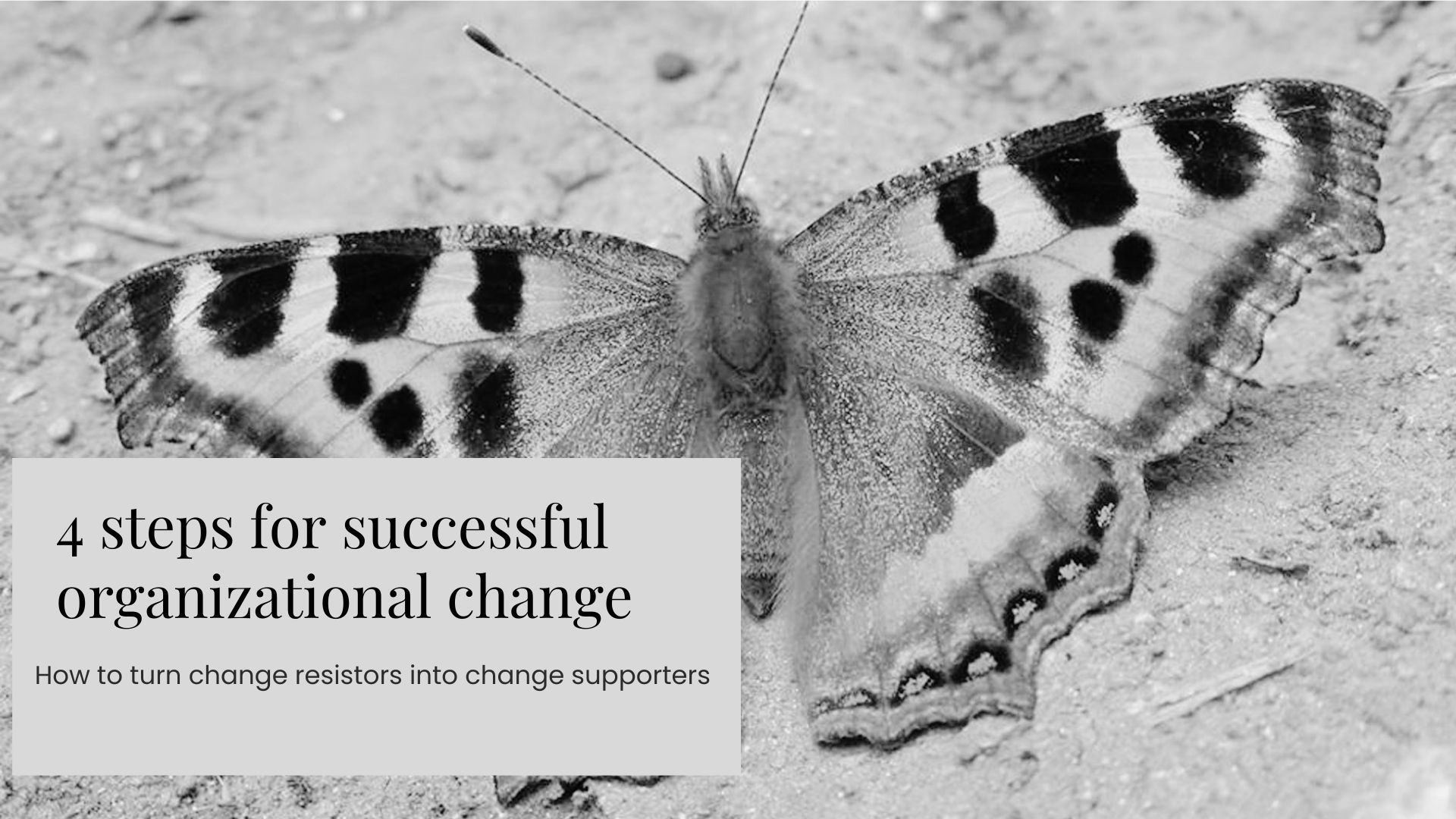 4 steps for successful organizational change - Mireda Thana Blog