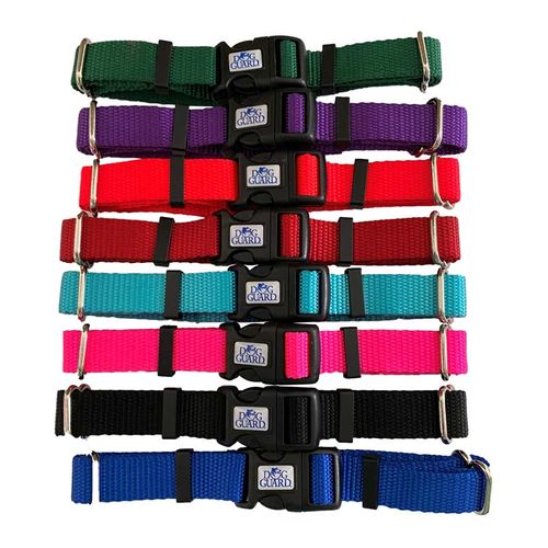 Nylon Collars | Dog Guard® of Wisconsin