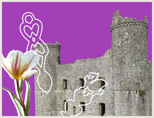 United Kingdom DNA Report | Anglo Saxon Ancestry Test | Genomelink