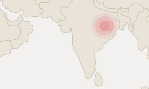 Asian DNA Report | Asian Ancestry Test | Genomelink