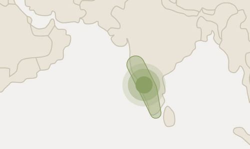 Asian DNA Report | Asian Ancestry Test | Genomelink
