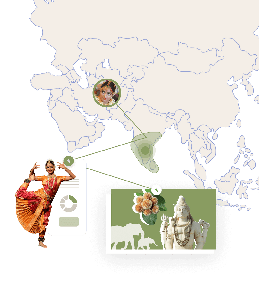 Asian DNA Report | Asian Ancestry Test | Genomelink