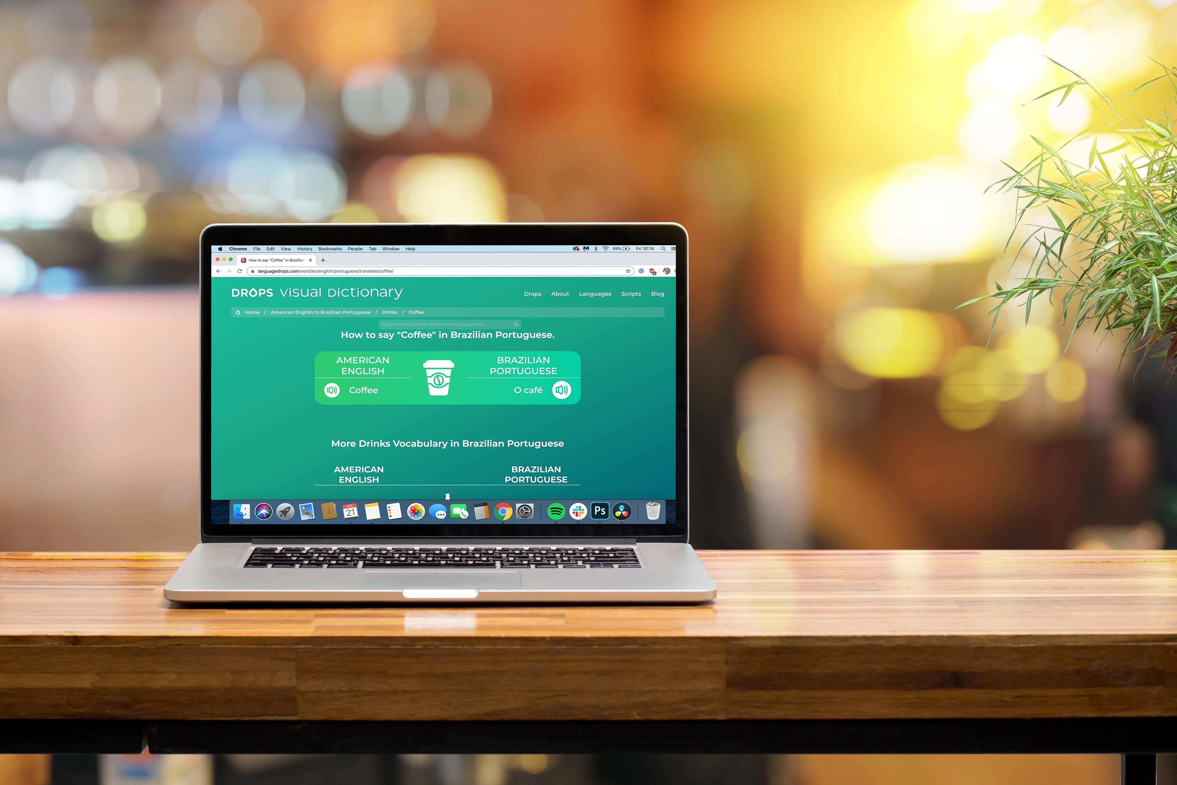 Learn with Drops Online: Announcing our Web App and Visual Dictiona