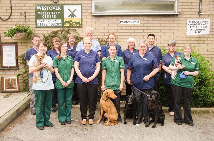 Norfolk Animal Physiotherapy | Dogs | Cats | Pets