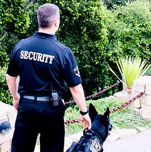 Security Services by Taurus Protection, Inc.