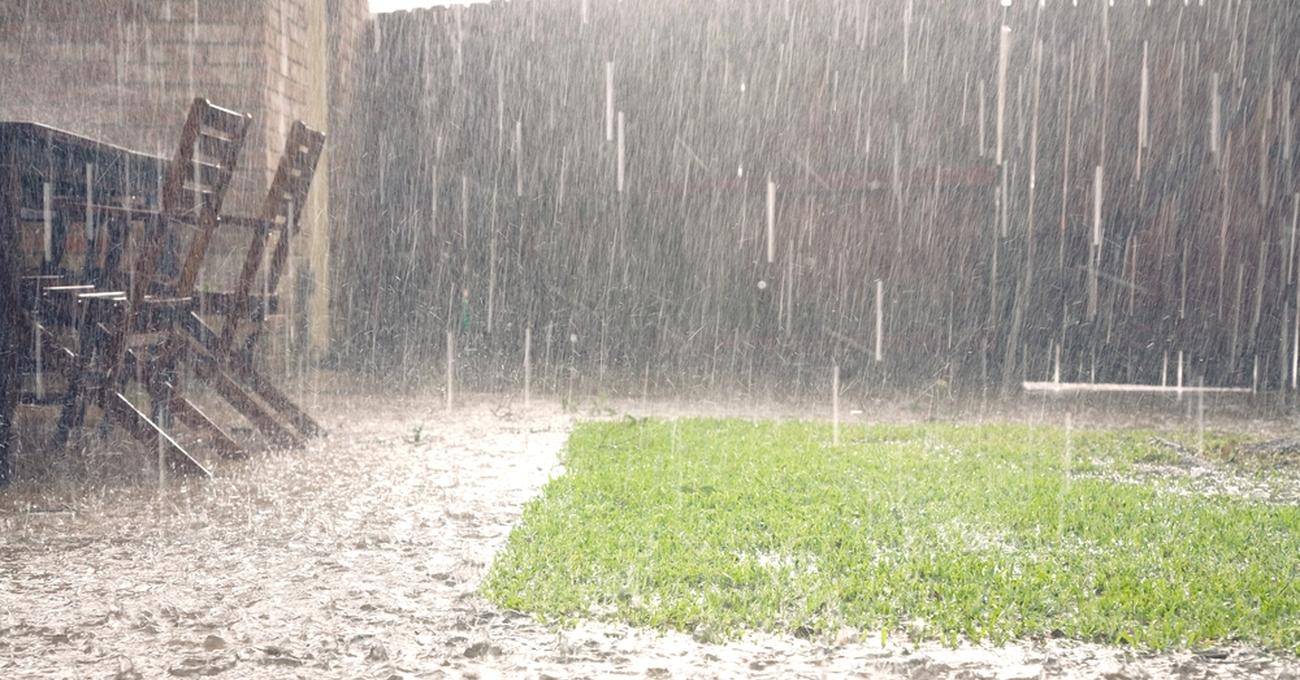 How To Design a Rain Garden | Retire Fearless