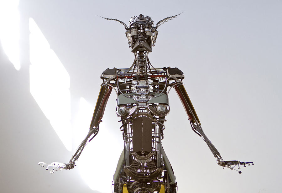 CollexArt Morphing The Human Form