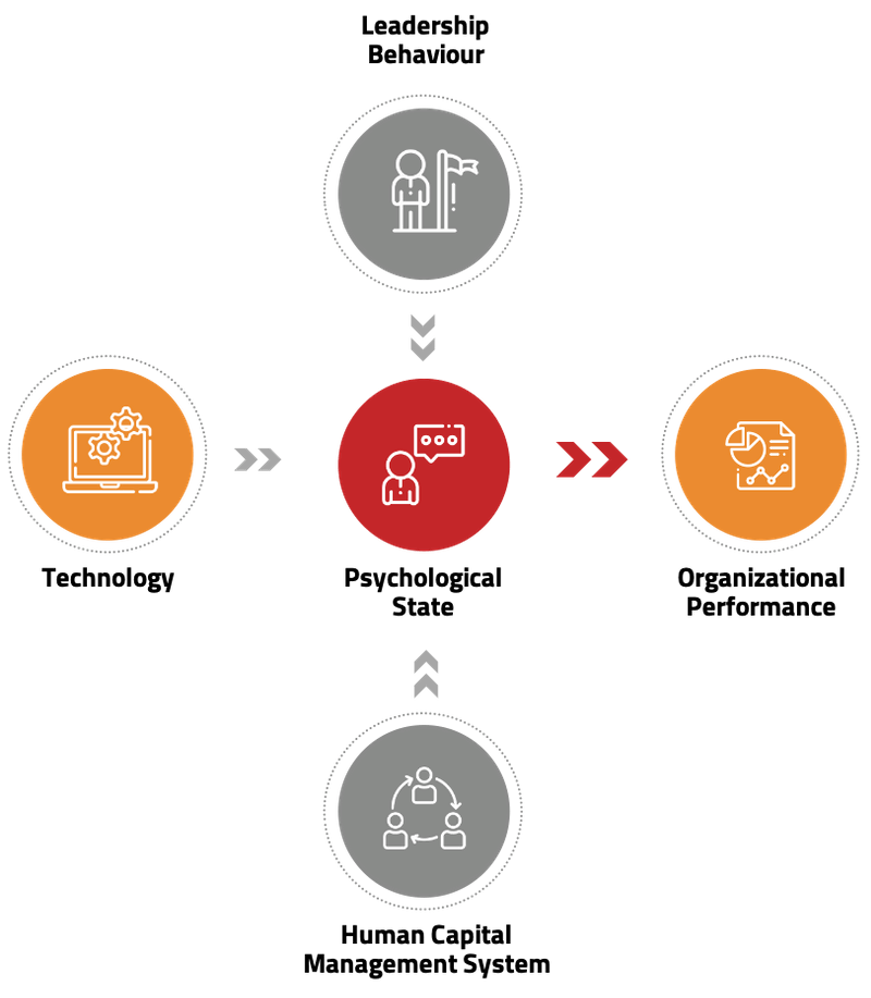 Human Capital - HumanCapient Consulting