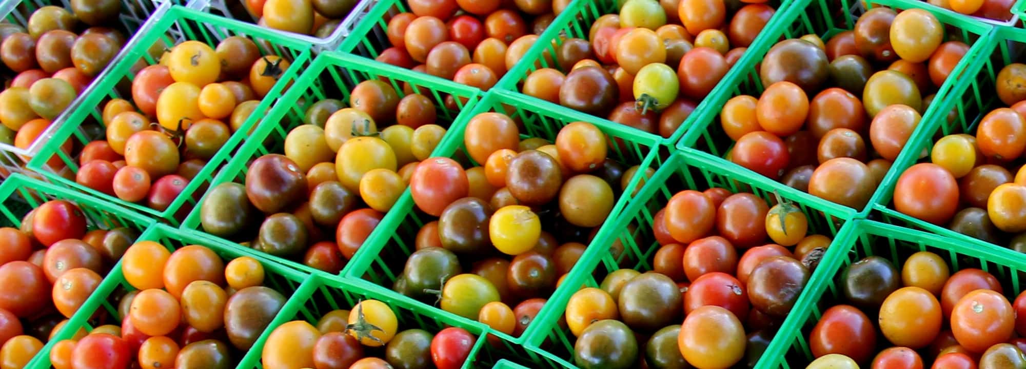 Join us at The Vista Farmers Market every Saturday