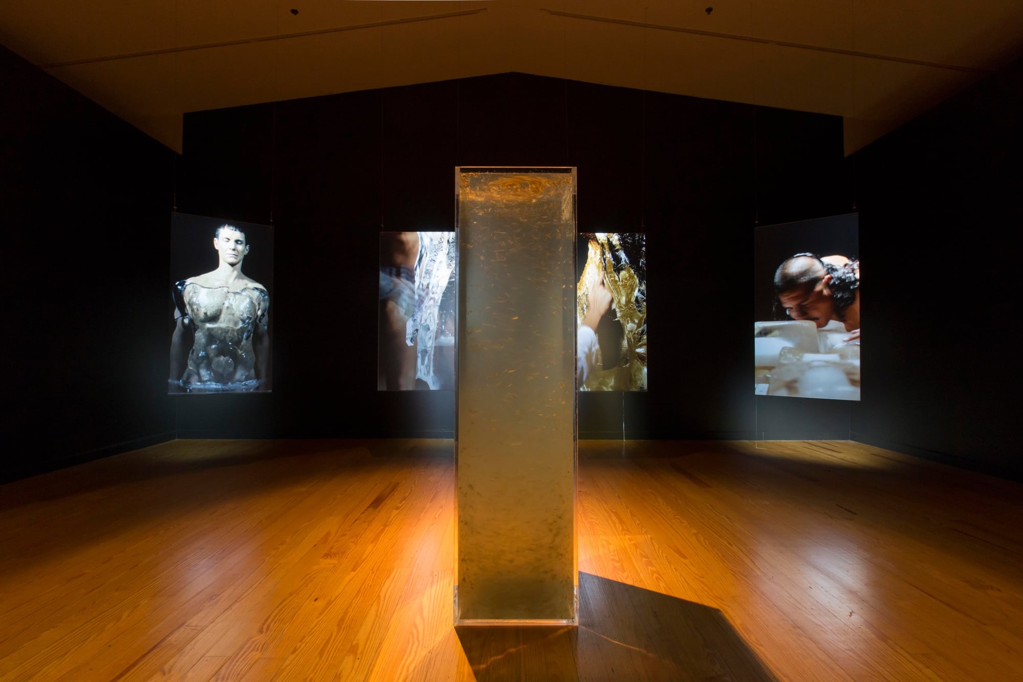 Cassils: Artwork: Solution