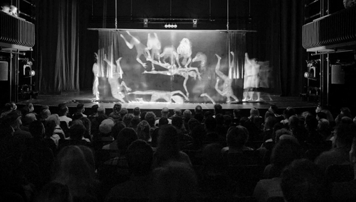 CASSILS. Performance Artist: Becoming an Image, Tiresias ...