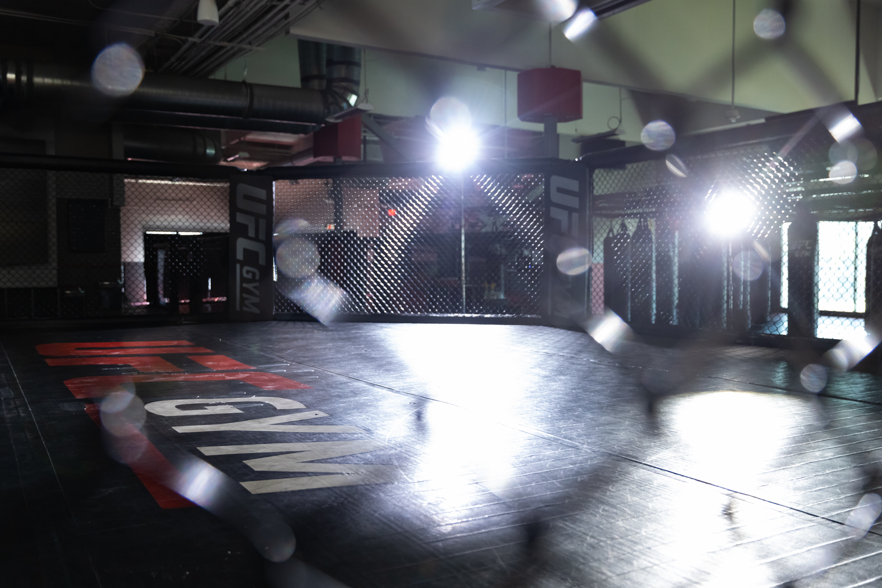 Palette Group | NETFLIX: The Gray Man x UFC