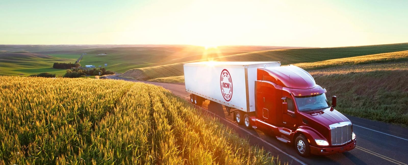 Distribution – BCW