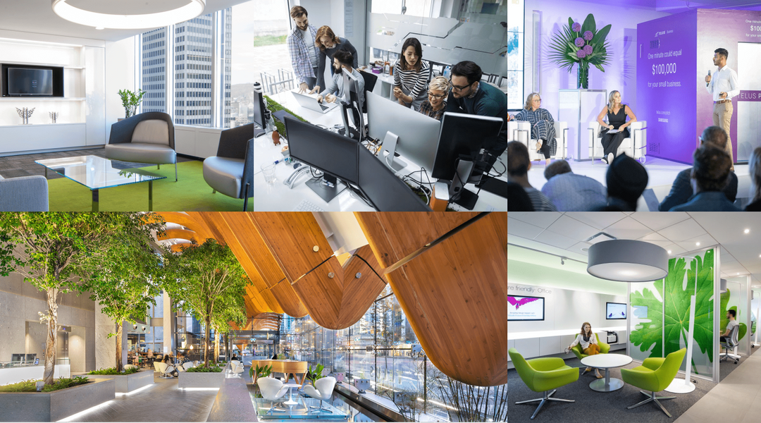 Telus | Case Study | Orizon Design - UX Visual Design Agency