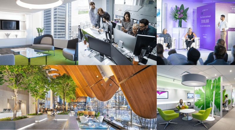 Telus | Case Study | Orizon Design - UX Visual Design Agency