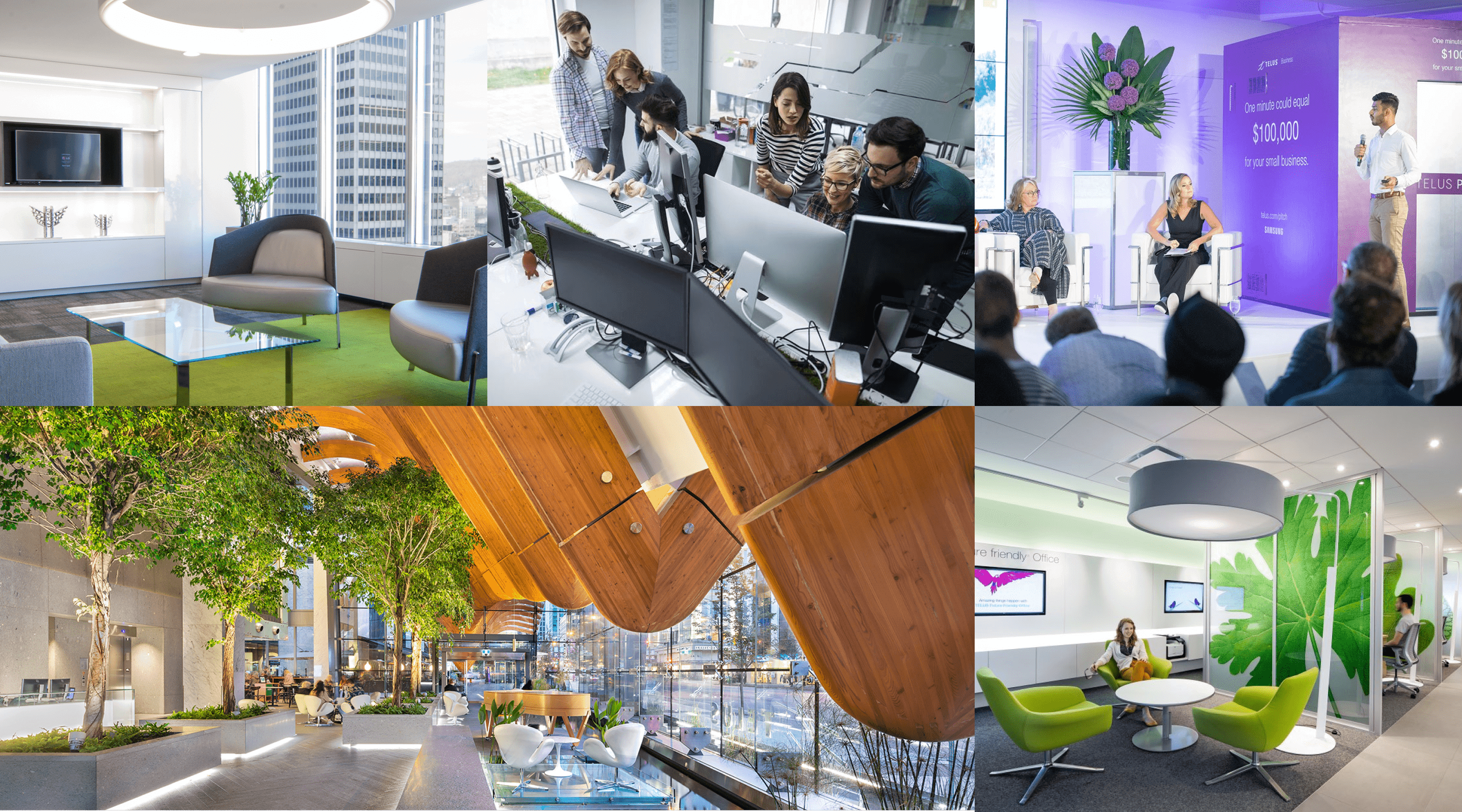 Telus | Case Study | Orizon Design - UX Visual Design Agency
