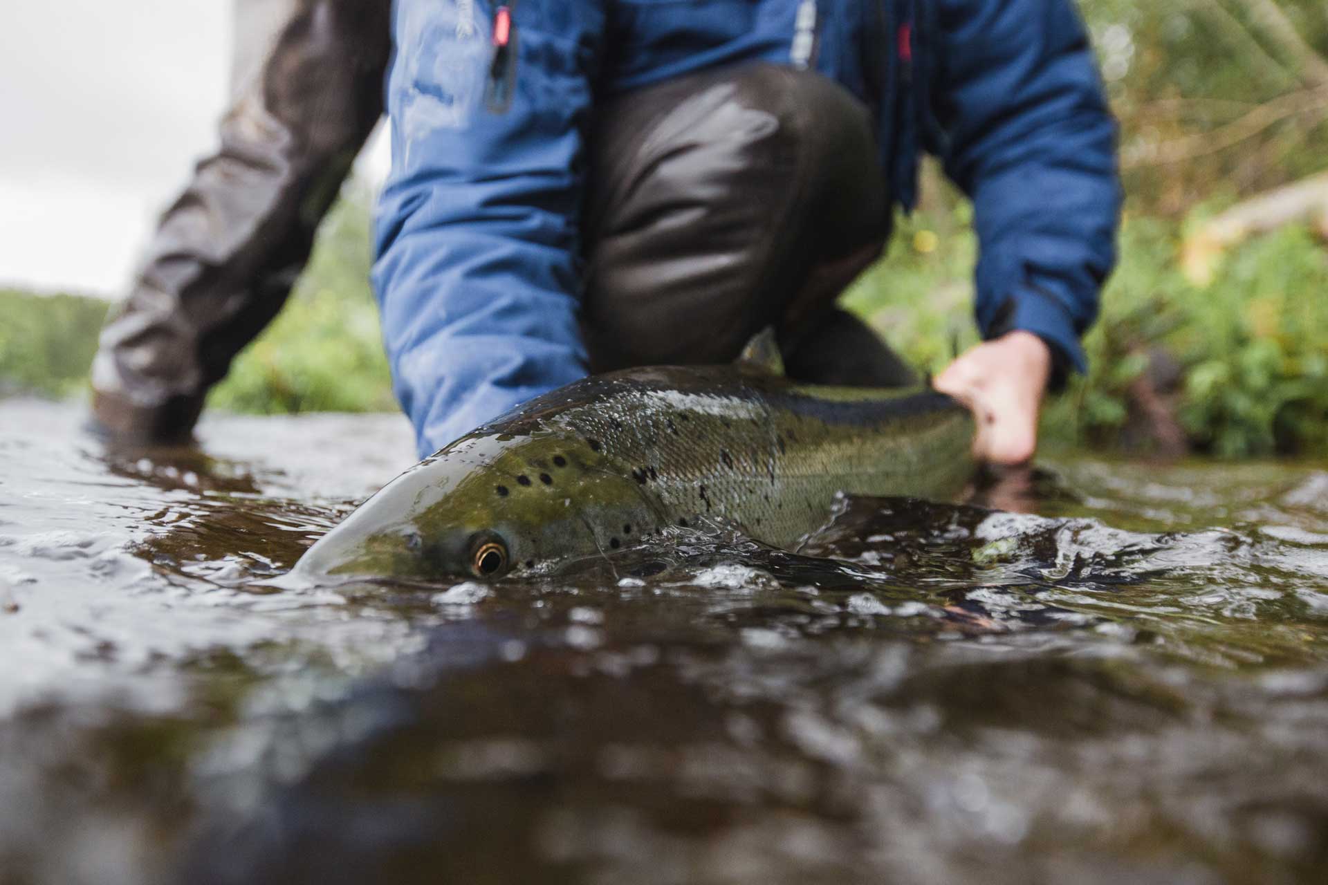 IRISH FISHING TRIPS | About Us