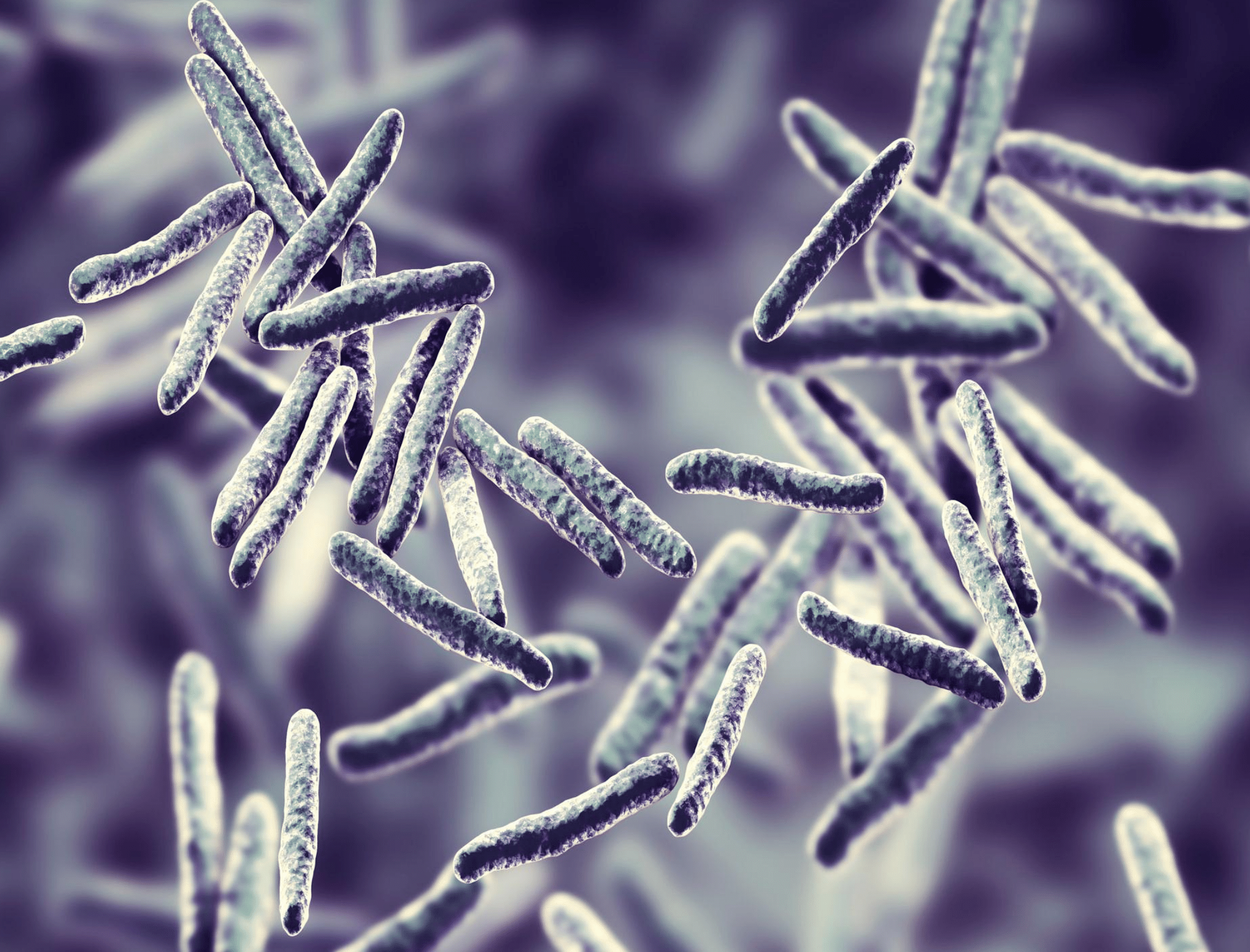 Stealth Pathogens: Cell Wall-Deficient Bacteria in Chronic Disease