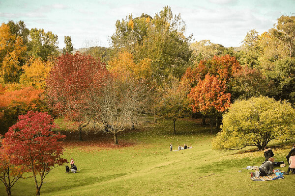 Adelaide to Melbourne - Firefly Express Bus Service